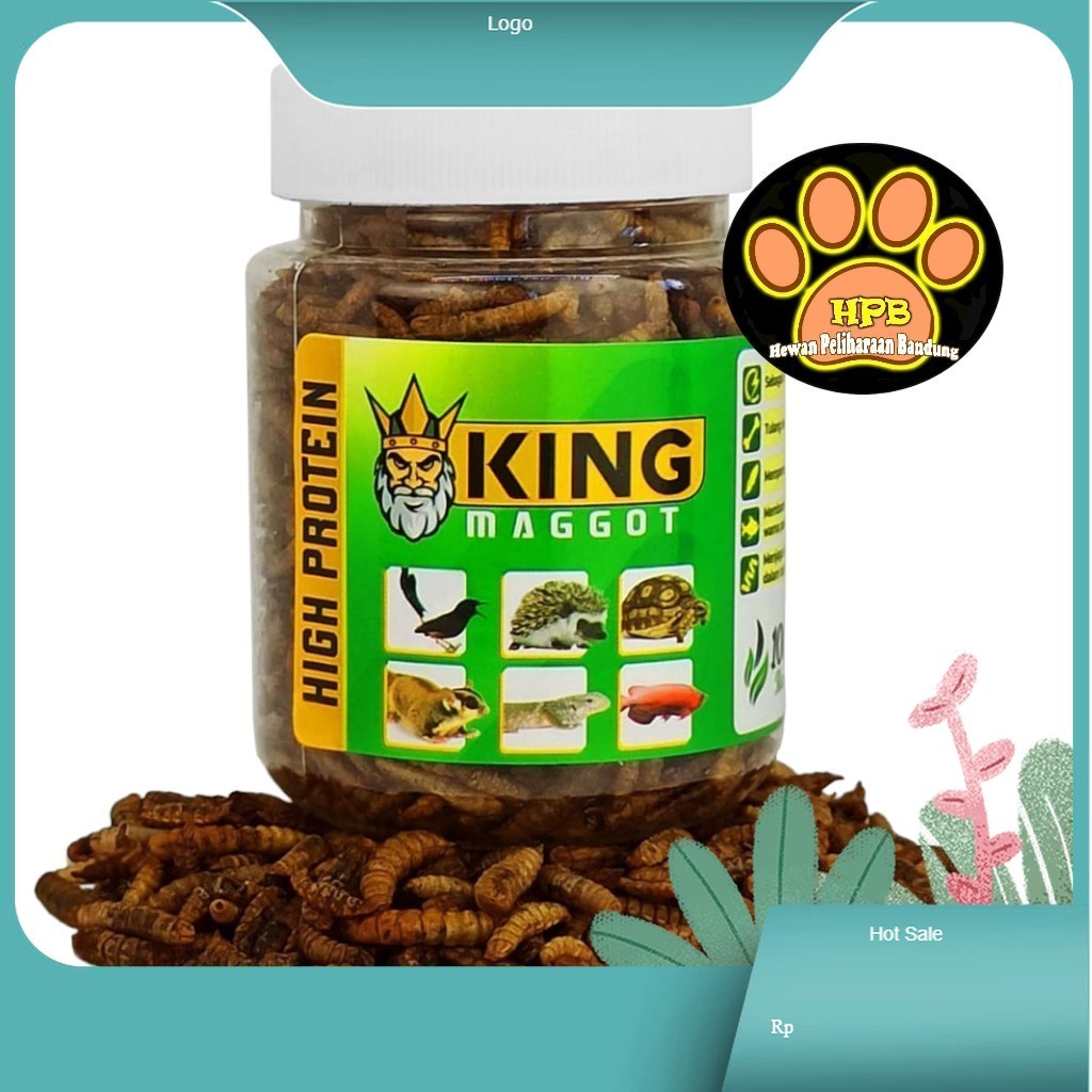Jual KING MAGGOT SEMPATI LARVA BSF SUPER DRY MAGGOT MAGOT KERING PAKAN ...