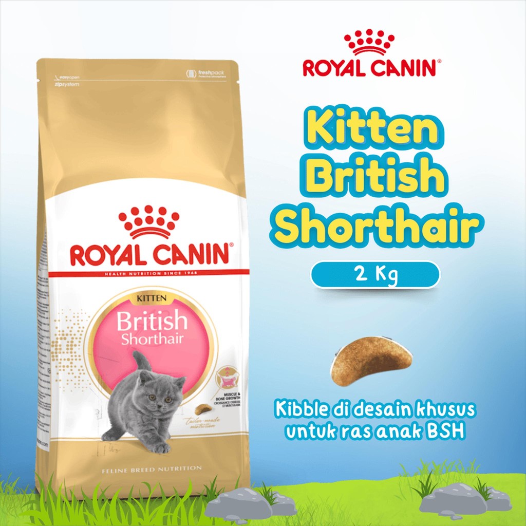 Jual ROYAL CANIN KITTEN BRITISH SHORTHAIR 2kg - RC - DRY - CATFOOD ...