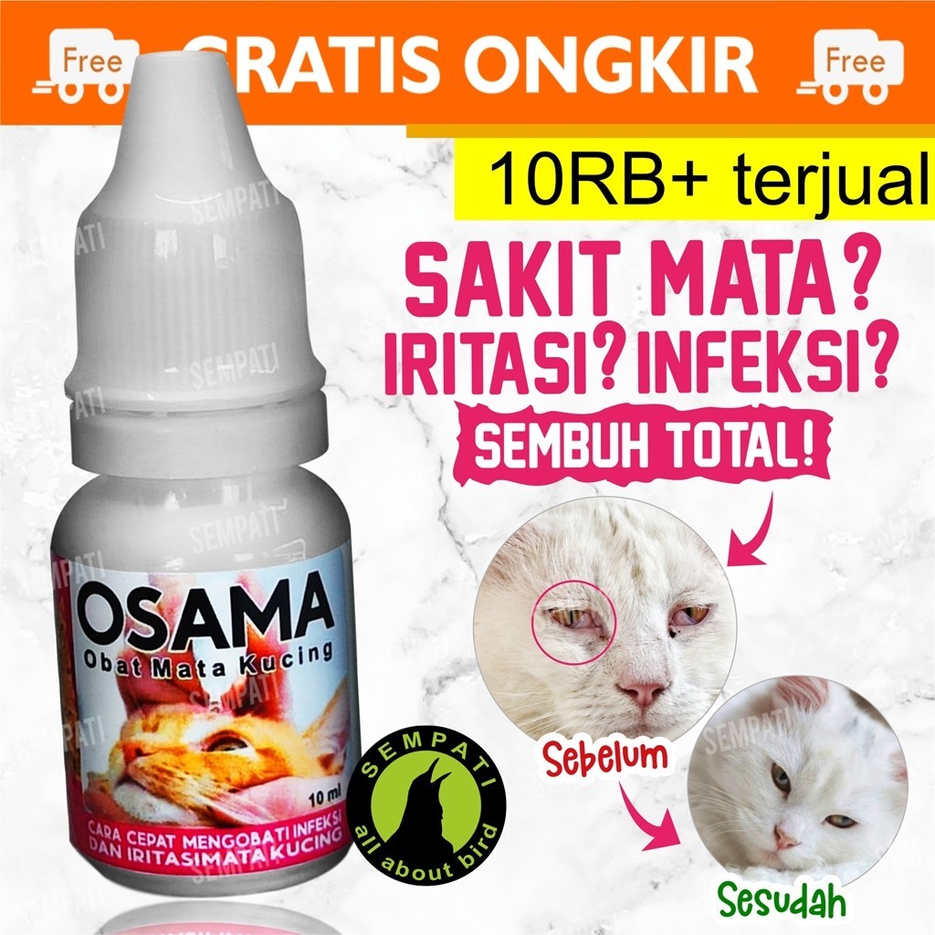 Jual SEMPATI Osama Obat Mata Kucing Obat Tetes Sakit Mata Kucing ...
