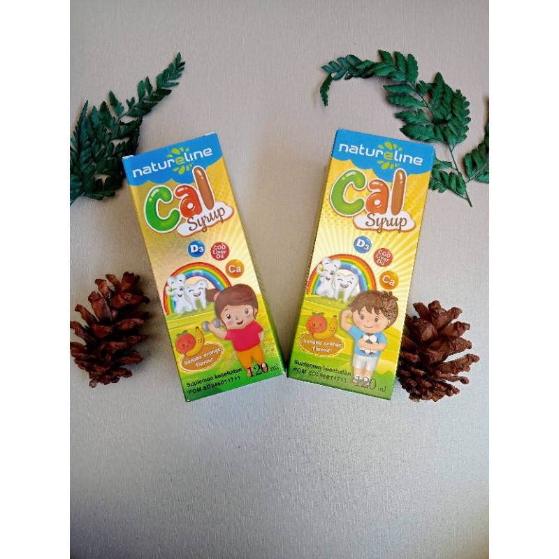 Jual Natureline Cal Syrup Suplemen Kesehatan Tulang Anak | Shopee Indonesia