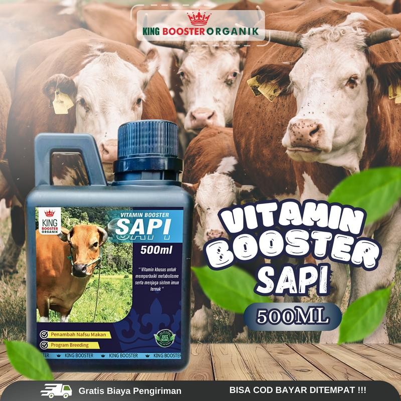 Jual VITAMIN BOOSTER Khusus Sapi, Vitamin Ternak Organik Penggemuk Sapi ...