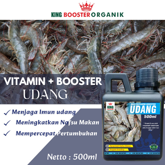 Jual NUTRISI VITAMIN PROBIOTIK UDANG VANAME PAKAN UDANG 500ml | Shopee ...