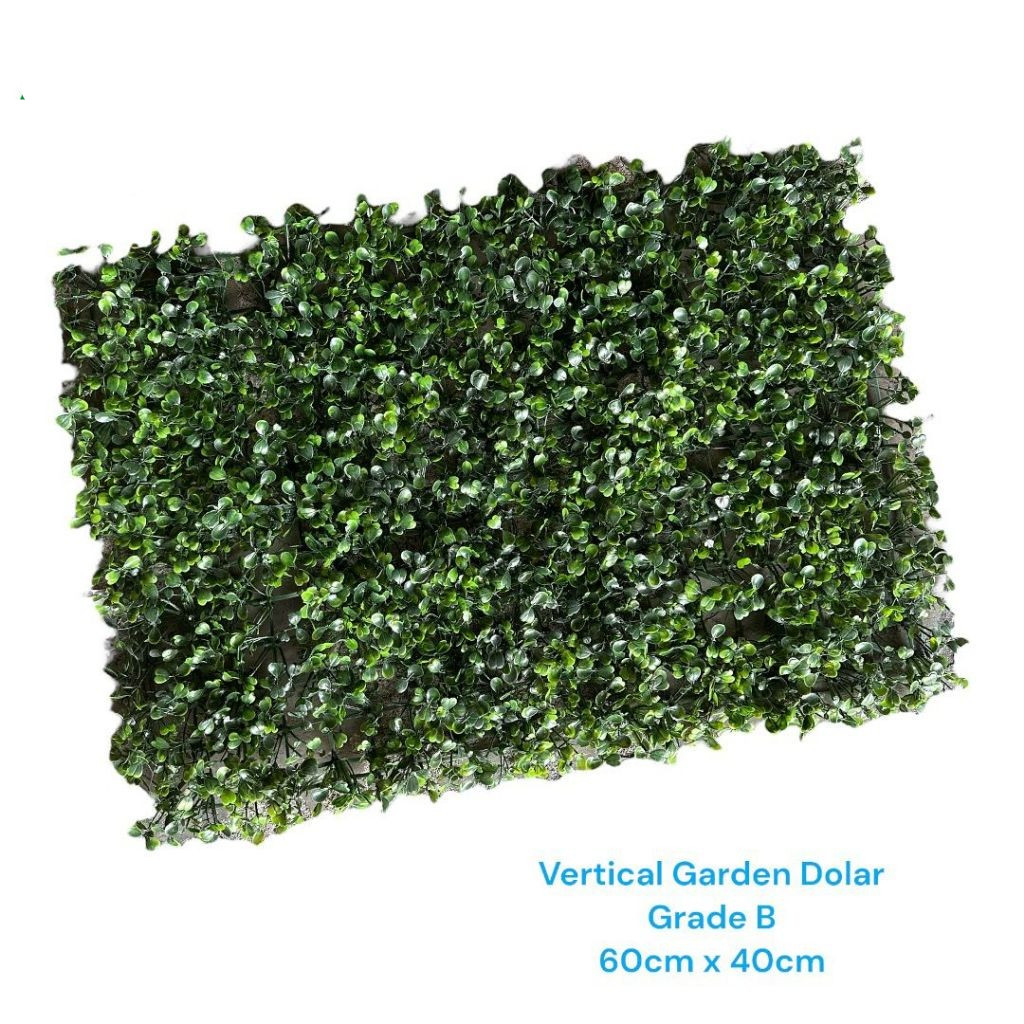 Jual Rumput dolar vertical garden kualitas premium | Shopee Indonesia
