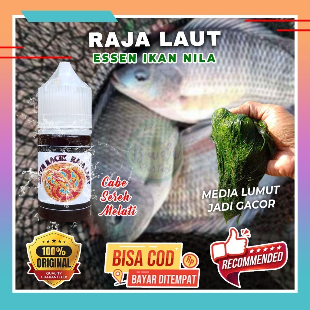 Jual Essen Ikan Nila Media Lumut Raja Laut cocok untuk Umpan Nila Liar ...