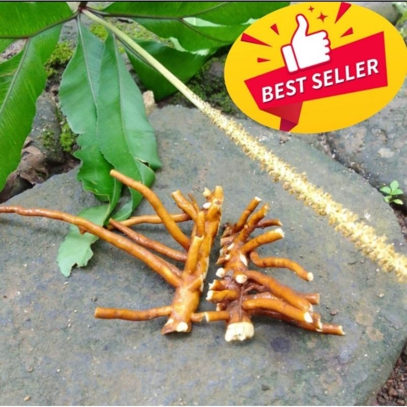 Jual akar tunjuk langit segar 100g zam | Shopee Indonesia