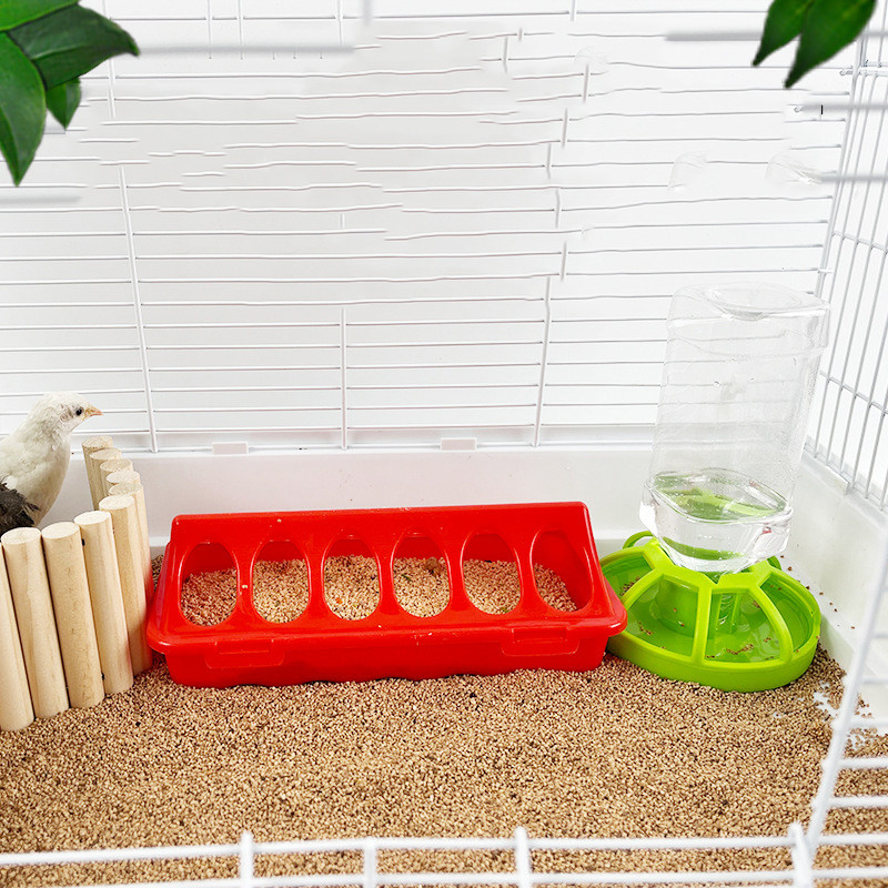 Jual Chicken trough small automatic water dispenser quail feed feeder ...