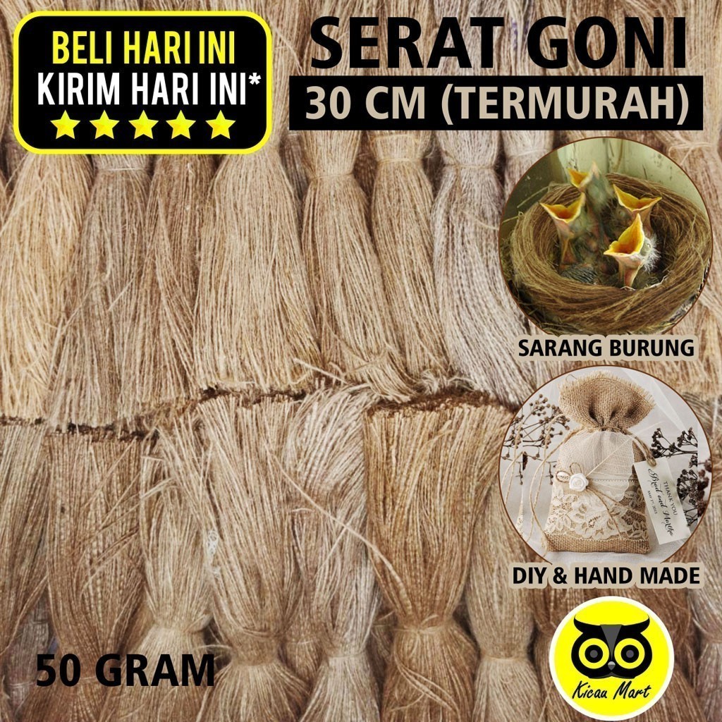 Jual KICAU MART SARANG BERTELUR BURUNG KENARI TALI RAMI SERAT GONI ...