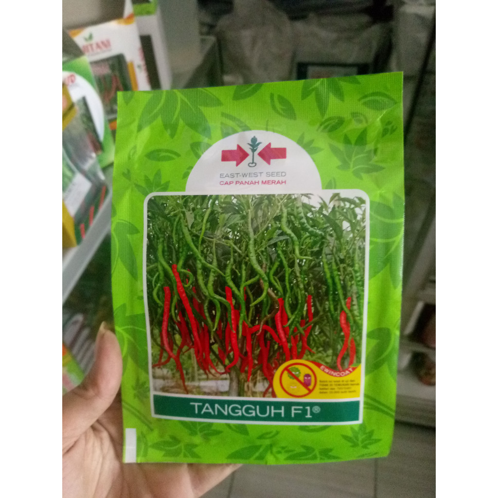 Jual Benih Cabe Cabai Keriting TANGGUH F1 Isi 2000 Butir Cap Panah ...