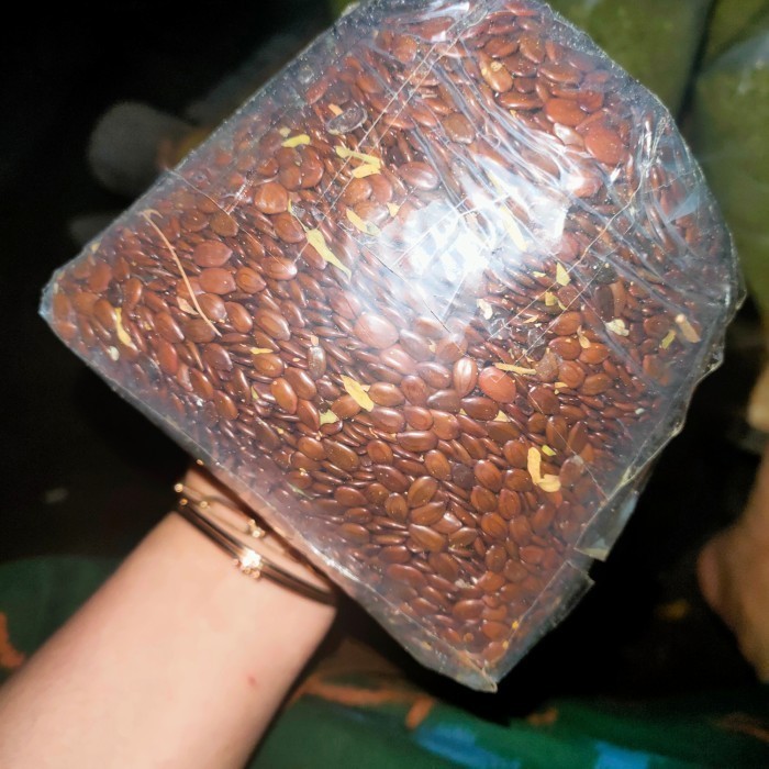 Jual Biji Lamtoro 100 Gram Petai Cina Selong Sortasi Asli Organik Hasil ...