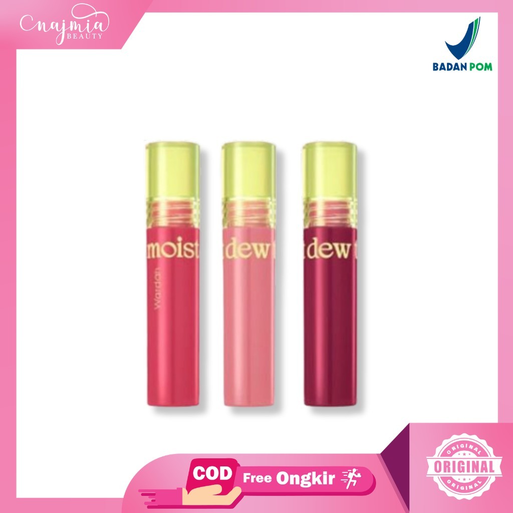 Jual Najmia - Wardah Moist Dew Tint 3 g - Liptint | Shopee Indonesia