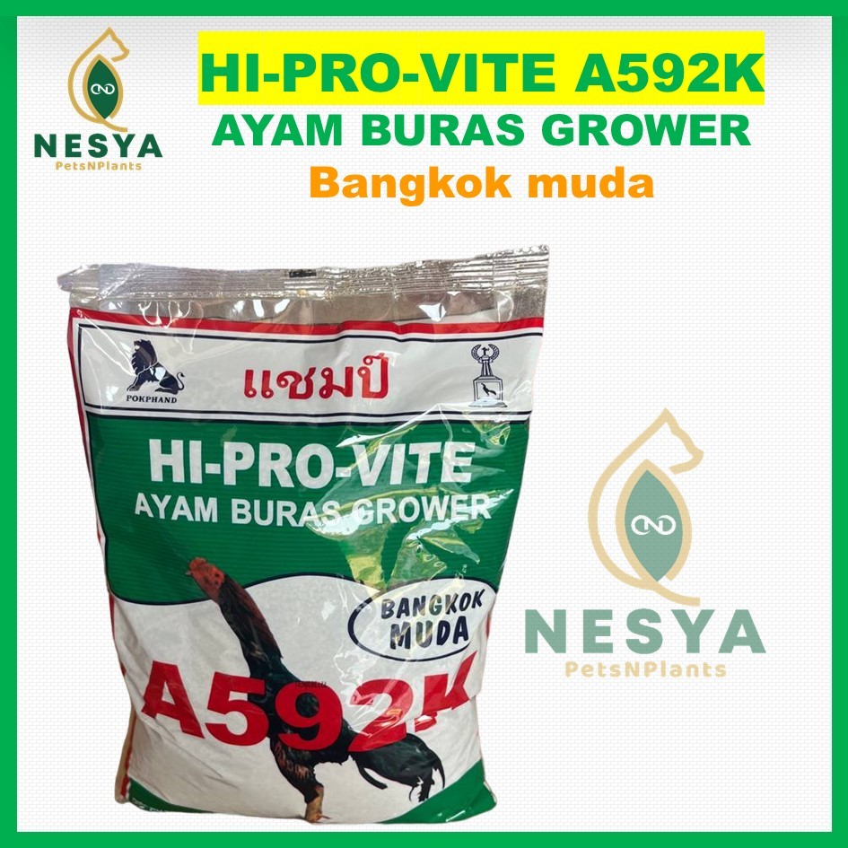 Jual Pakan Ayam Bangkok A592K Hi-Pro-Vite A 592 K 592K Jago Tarung 1kg ...