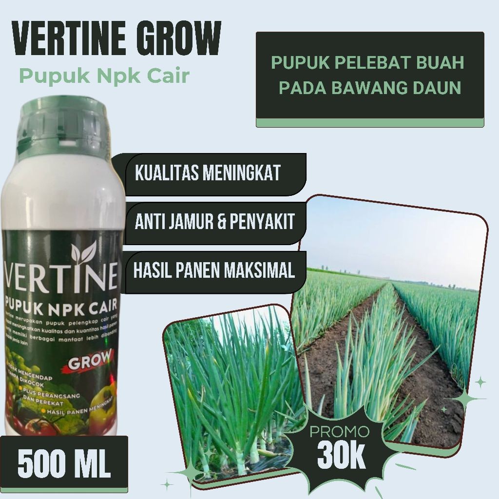 Jual PUPUK BAWANG DAUN TERBAIK VERTINE GROW OBAT PENYUBUR BAWANG DAUN Mujarab Tahan di Musim ...