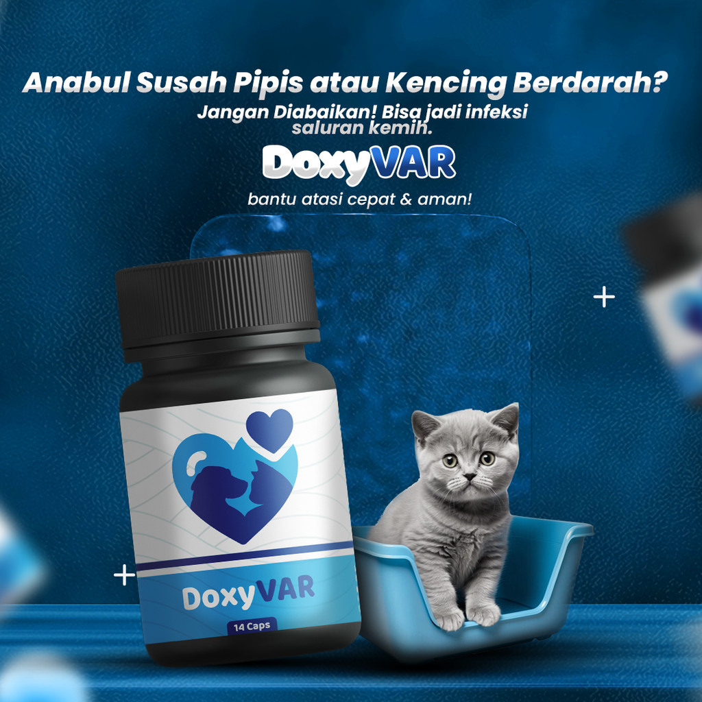 Jual DoxyVAR Obat Atasi Saluran Kemih Ampuh Untuk Kucing dan Anjing ...