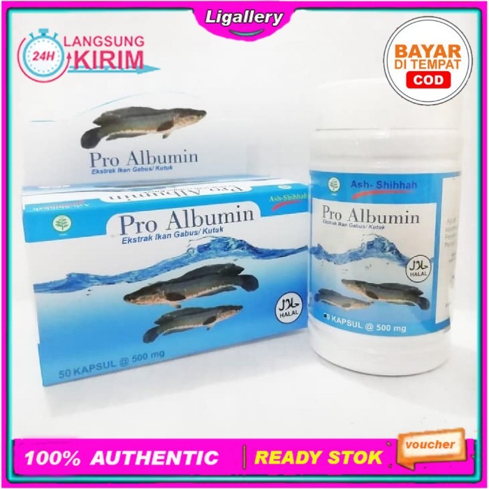 Jual Pro Albumin Isi 50 Kapsul Ekstrak Ikan Gabus Kutuk Original | Shopee Indonesia