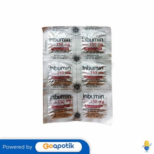 Jual Inbumin Strip Isi 6 Tablet | Shopee Indonesia