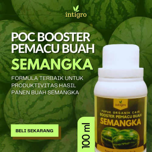 Jual Pupuk Semangka Pupuk Organik Pembesar Booster Semangka Perangsang Buah Semangka Pupuk ...