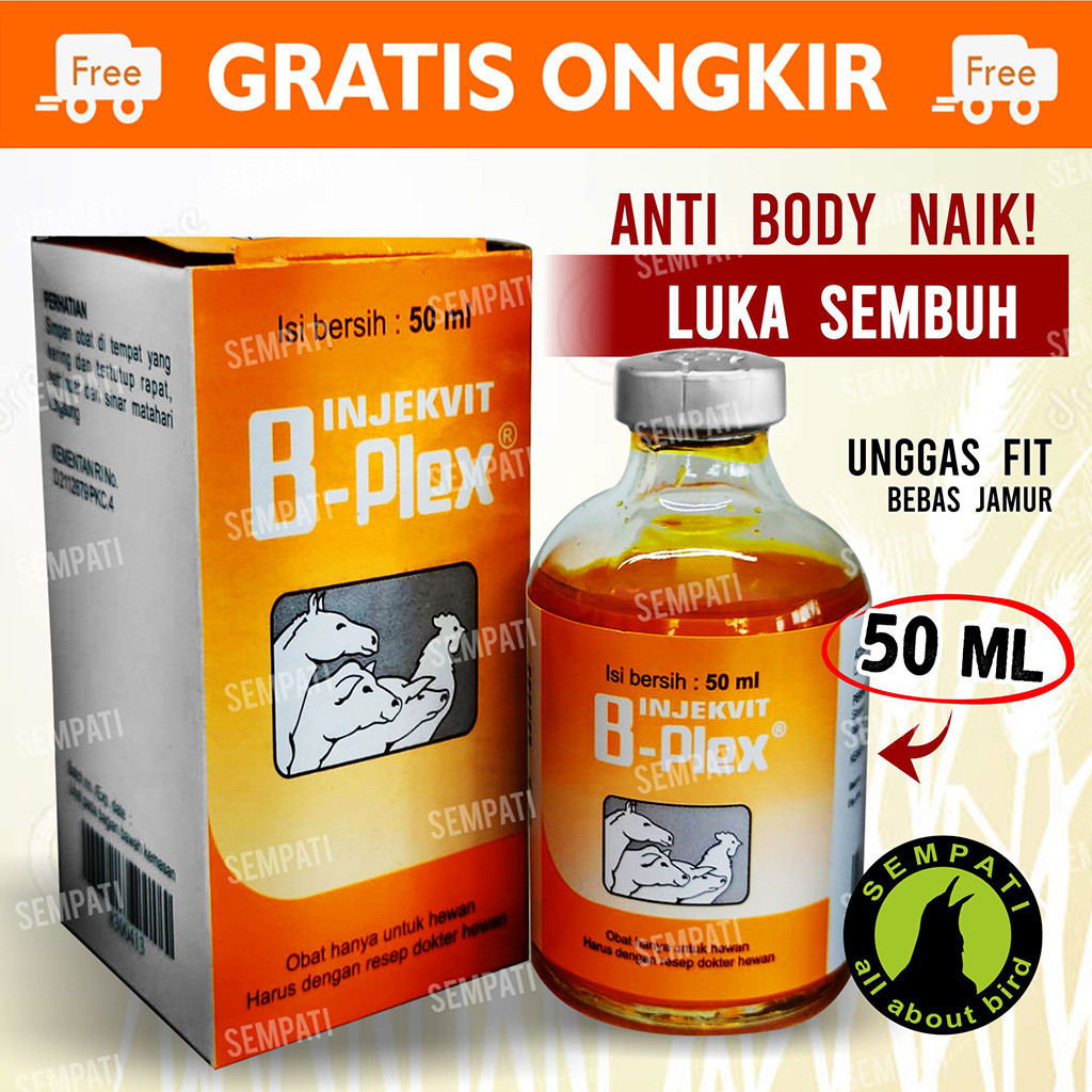 Jual SEMPATI Injekvit B-Plex B Plex Vitamin B Komplex Komplek 50 ml Medion Obat Hewan Ternak ...