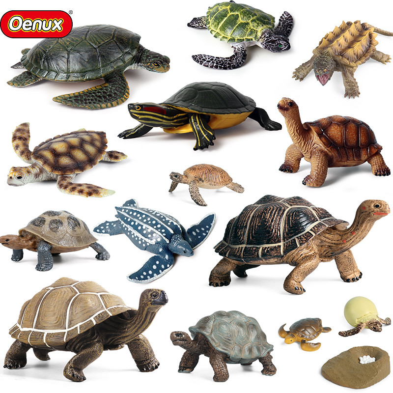 Jual Oenux Ocean Animals Leatherback Tortoise Turtle Growth Cycle Sea ...