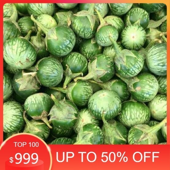 Jual LBJ Terong Ijo Lalapan Super Fresh Kualitas Super 1kg | Shopee ...