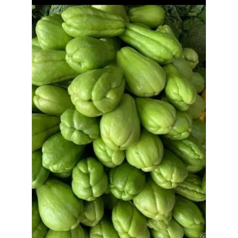 Jual labu siam besar 1kg | Shopee Indonesia