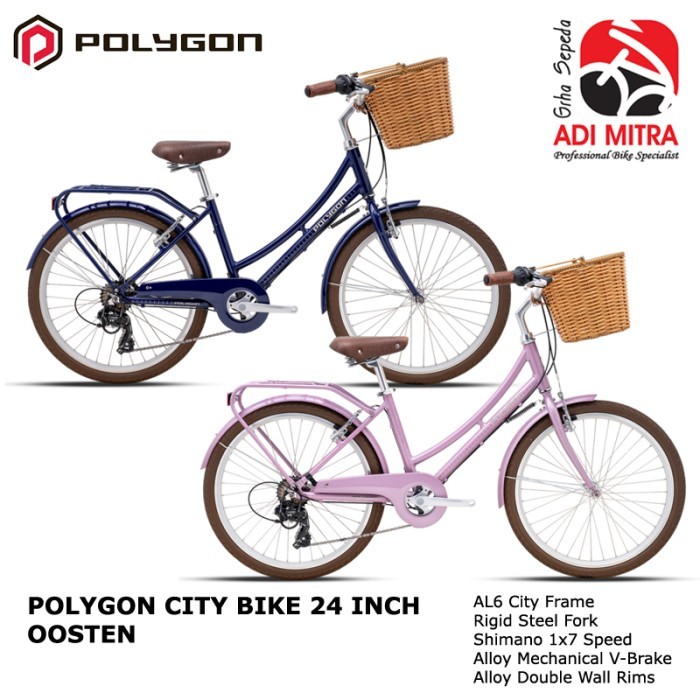 Jual Polygon Sierra Oosten [24 inch] Sepeda Keranjang Rotan Vintage ...