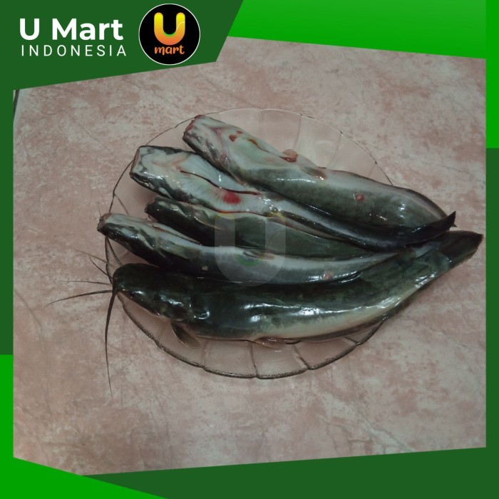 Jual U Mart - Ikan Lele Potong Segar 1 kg | Shopee Indonesia