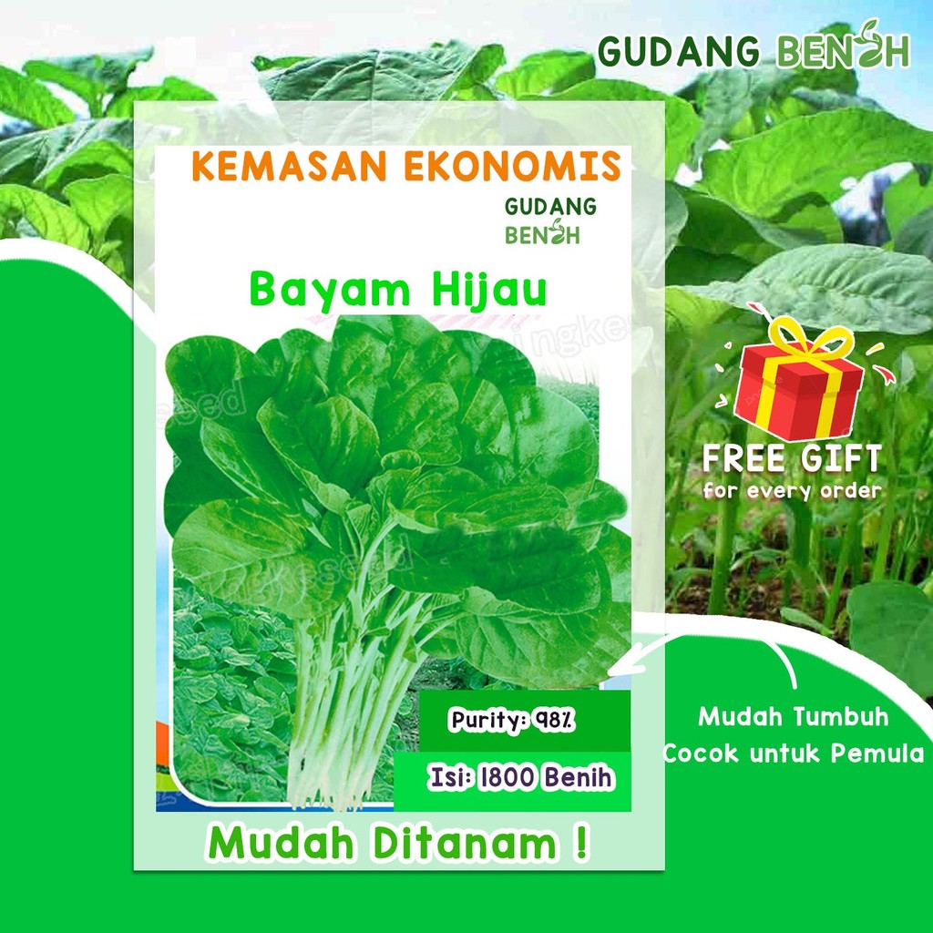 Jual [TERBARU] Benih Small Pack Tanaman Sayuran Bayam Hijau Berkualitas ...