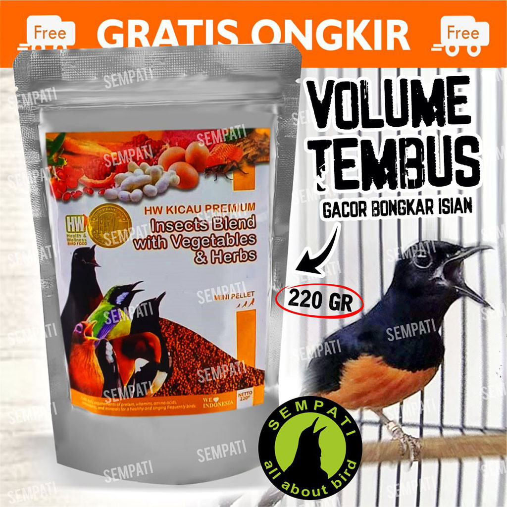 Jual SEMPATI HW KICAU PREMIUM PAKAN MAKANAN BURUNG MURAI BATU HWAMEI ...
