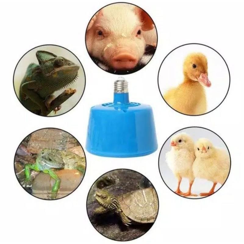 Jual Blower pemanas kandang Doc ayam burung hewan peliharaan reptil ...
