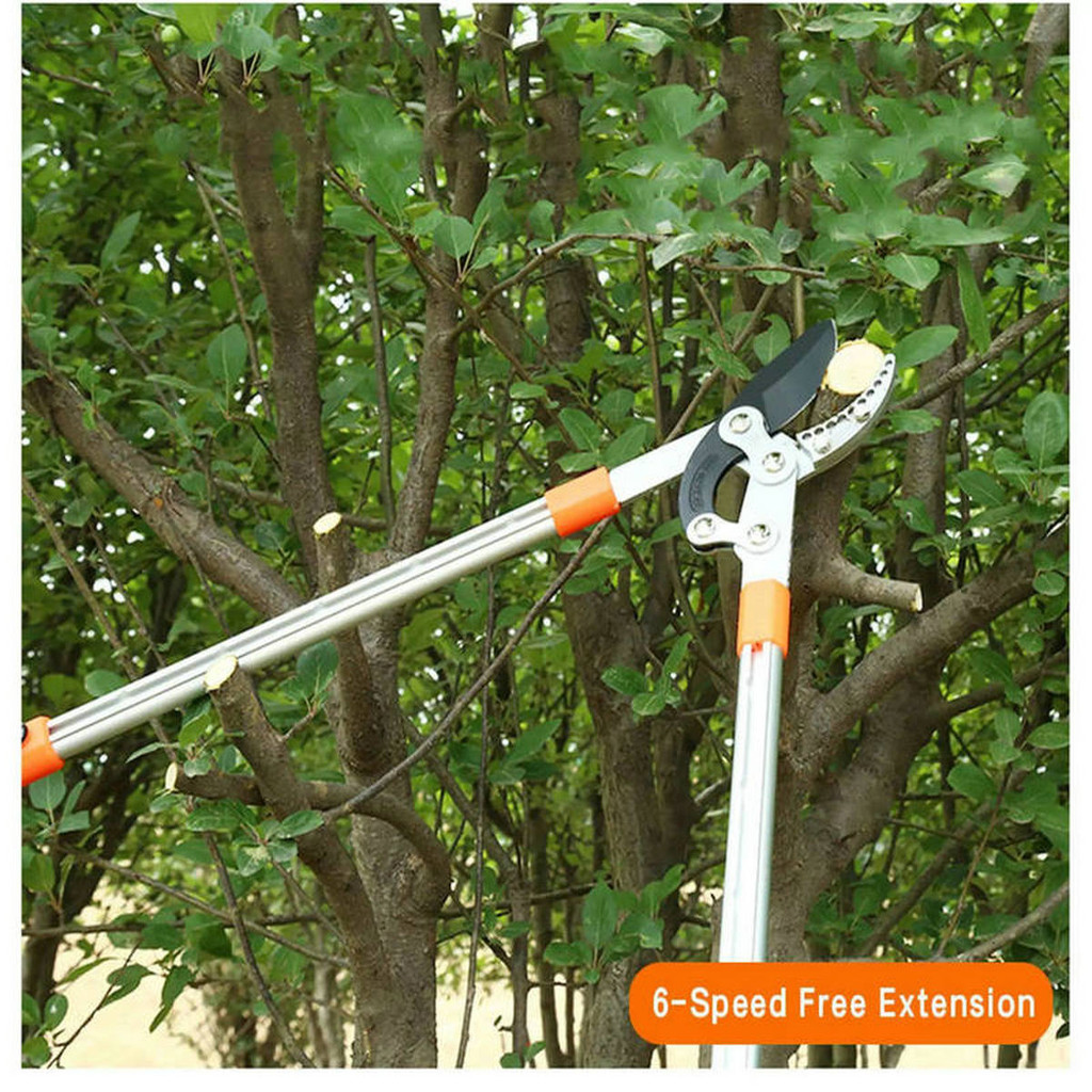 Jual GUNTING TAMAN GAGANG PANJANG POTONG RANTING DAHAN POHON TANAMAN TINGGI / GUNTING TELESKOPIK ...