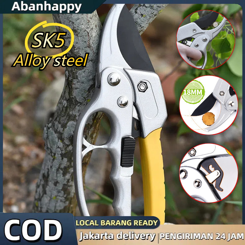 Jual Gunting Pemangkas Buah Pruning Gunting Dahan Bunga Gunting Pohon ...