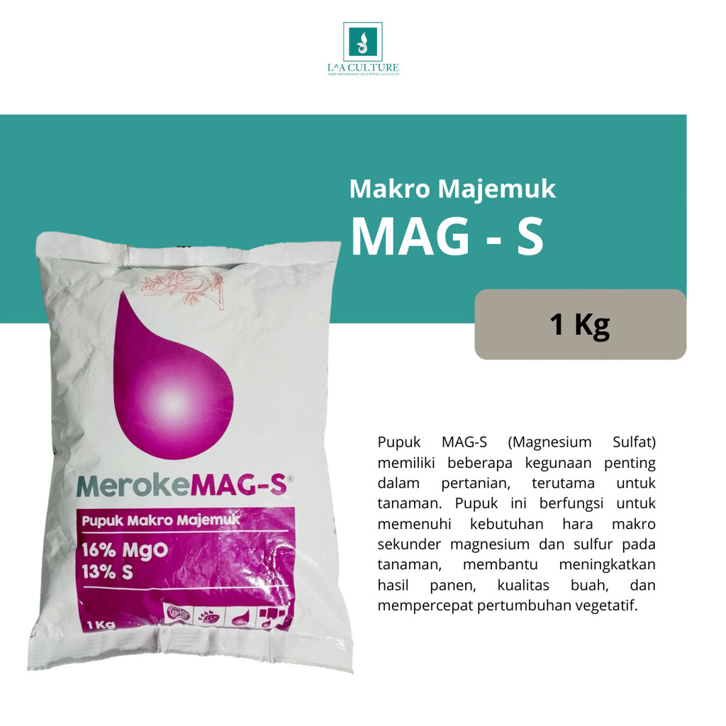 Jual Pupuk Meroke MAG-S 1 Kg Magnesium Oksida Kemasan Pabrik | Shopee ...