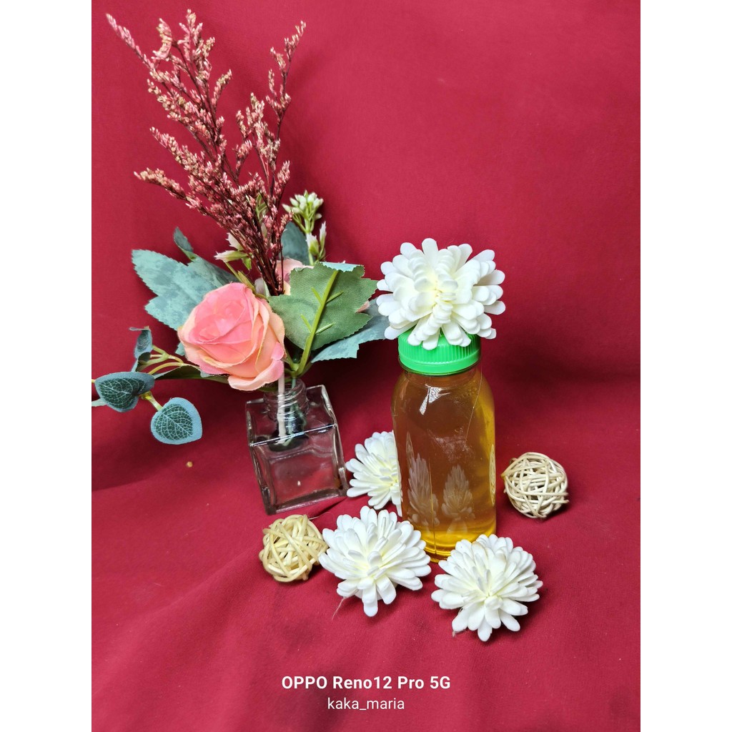 Jual Minyak Pijat Getah Kayu Buah Merah Yang Warna Kuning 100ML Plus ...