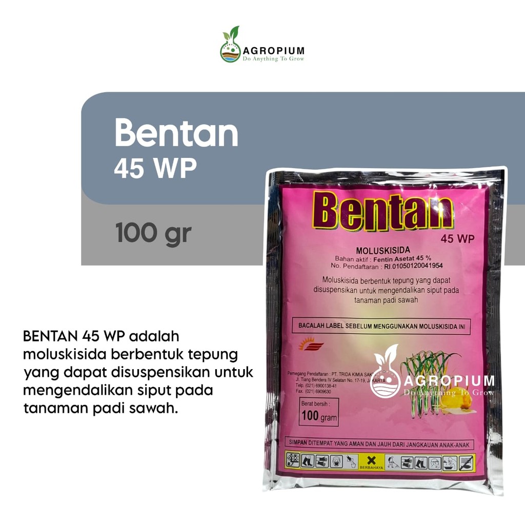 Jual Moluskisida Bentan 45 Wp 100 Gram Pembasmi Keong Sawah | Shopee ...