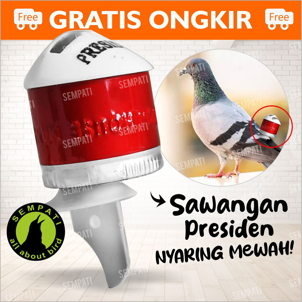 Jual SEMPATI SAWANGAN MERPATI PRESIDEN MANSION JUMBO SAWANGAN BURUNG ...