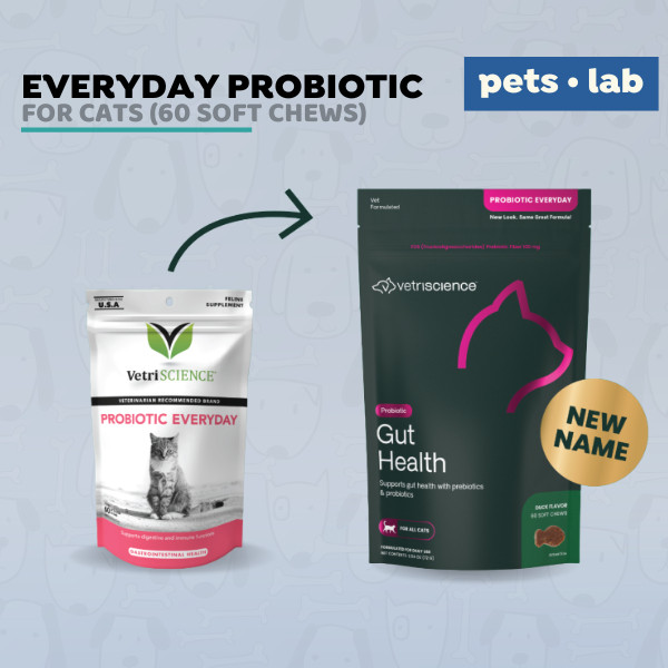 Jual VetriScience Probiotic Everyday Cat Probiotik Kucing Lambung Diare ...