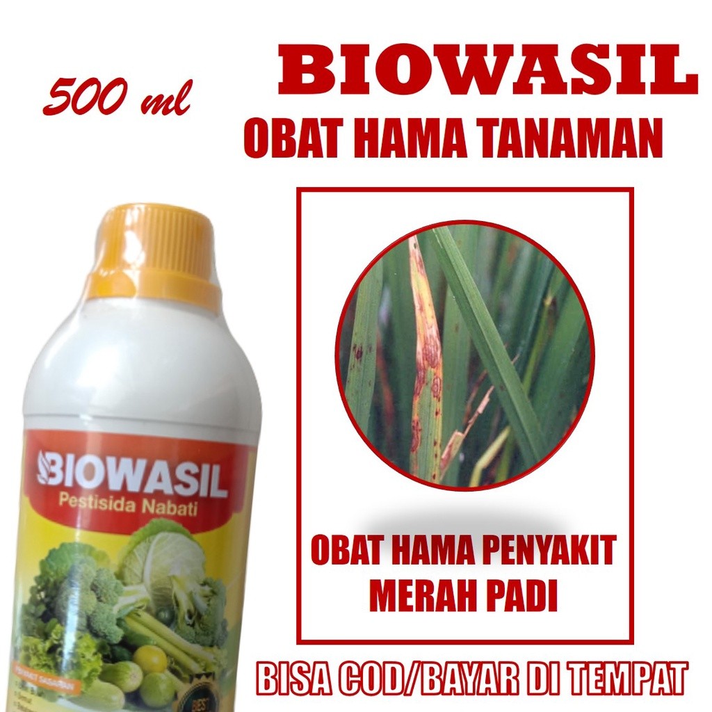 Jual PROMO MURAH Pestisida Semprot Atasi Merah Daun Padi, Obat Merah ...
