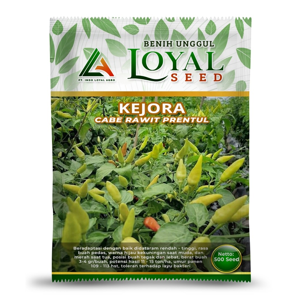 Jual Benih SP Cabe Prentul KEJORA isi 500 Biji Bibit CAP LOYAL SEED ...