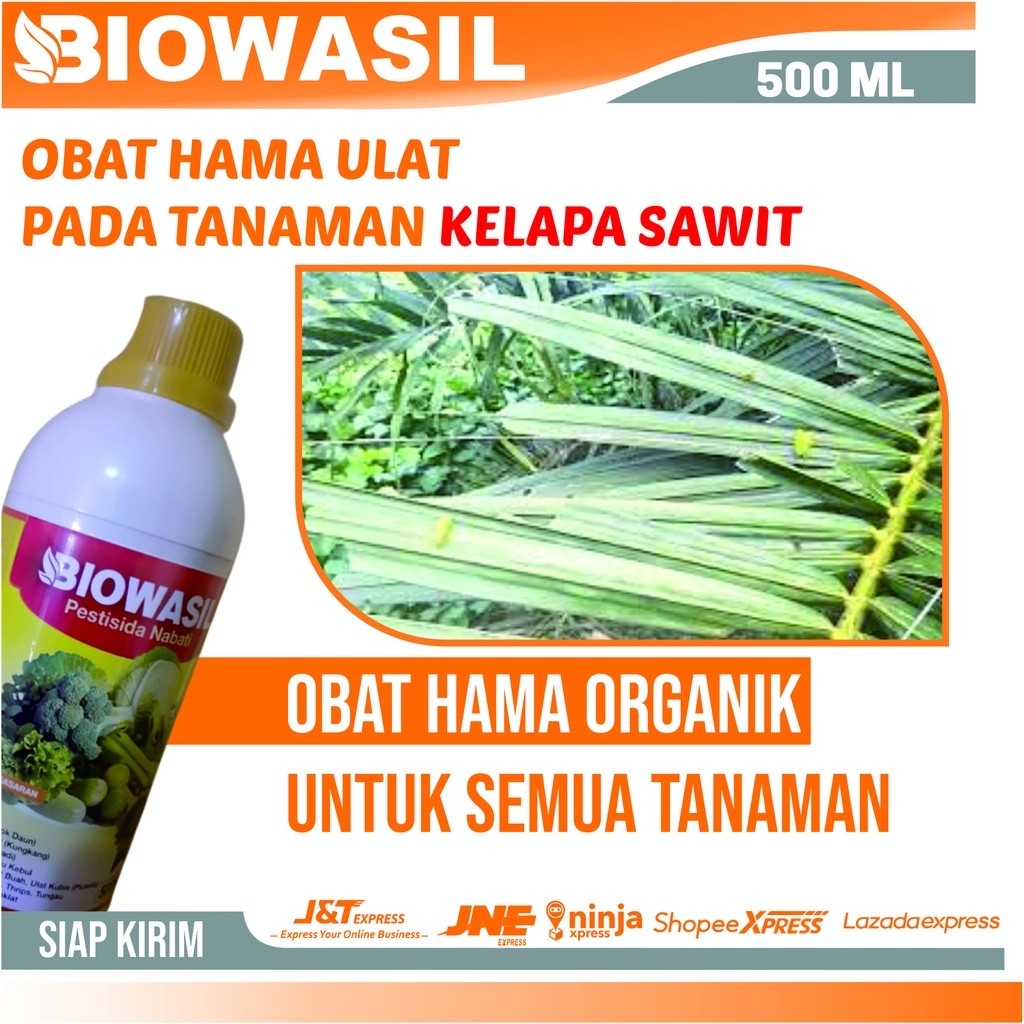 Jual Pestisida Nabati 500 ML Biowasil Obat Hama Ulat Buah Pada Kelapa Sawit Paling Ampuh - Pupuk ...