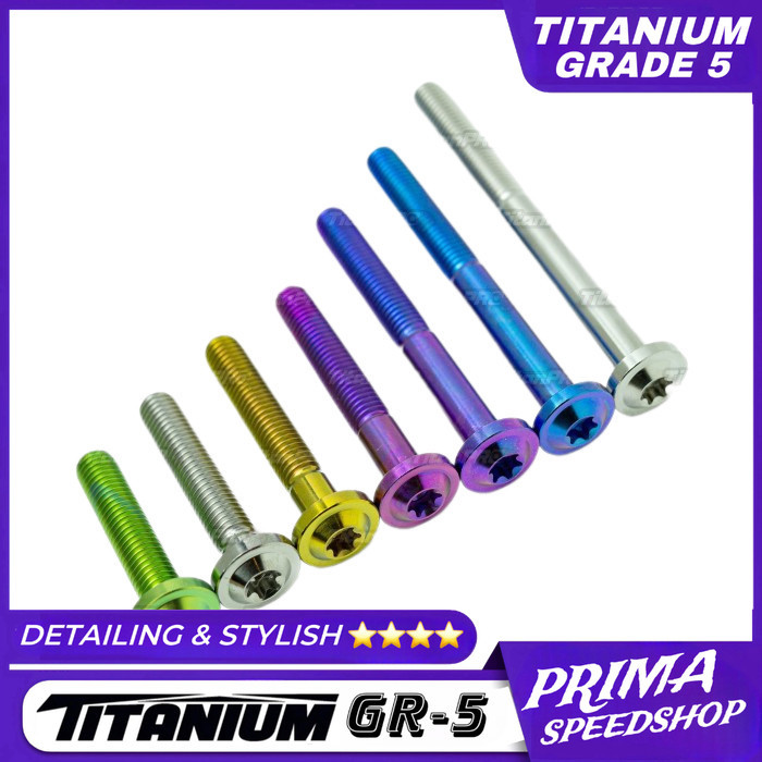 Jual Baut Titanium gr5 drat 10 atau M6 model BIG head original Titanium GRADE 5 | Shopee Indonesia