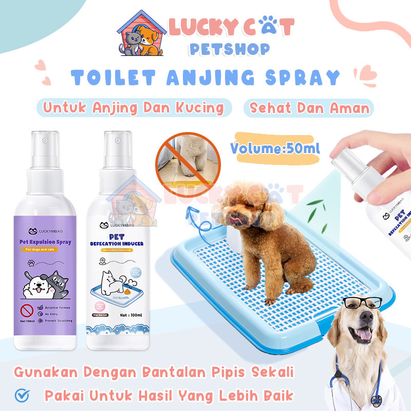 Jual Toilet Anjing Spray Toilet Anjing Dog Toilet Tempat Pipis Anjing ...