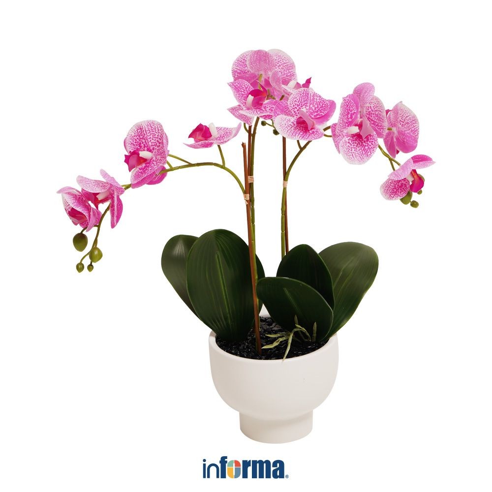 Jual Informa Bunga Artifisial 66 cm Anggrek - Ungu Bunga Hias Cantik ...