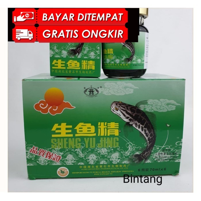Jual COD saripati ikan gabus sari pati ikan gabus haruan / kutuk sheng ...