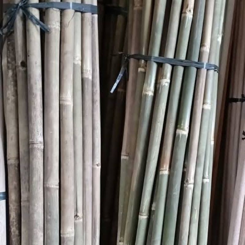 Jual Tongkat Pramuka 160cm Polos Tongkat Toya Bambu Pramuka Tongkat ...