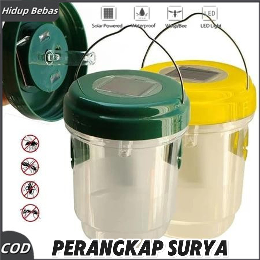 Jual Perangkap Lalat Buah Dengan Lampu Surya Penarik Ferokop Surya ...