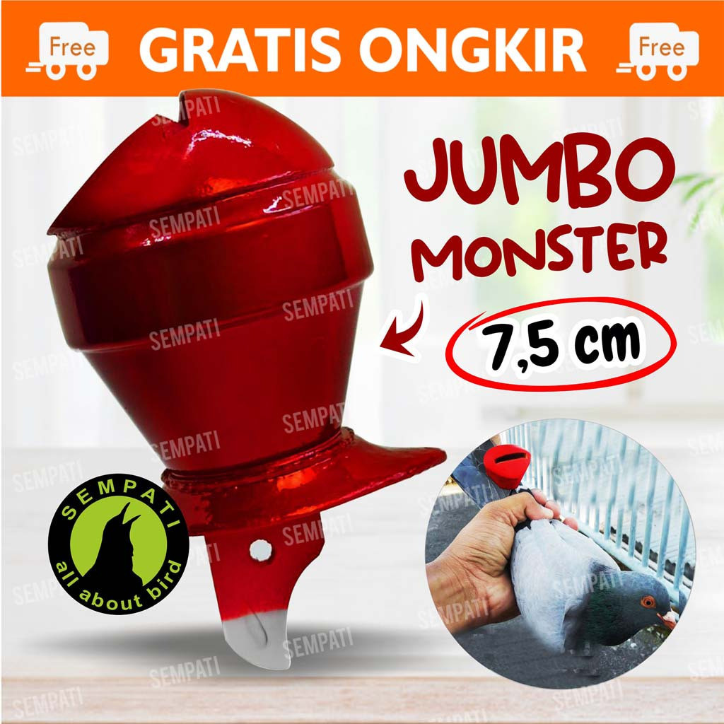 Jual SEMPATI SAWANGAN JUMBO YAKUL SAWANGAN MERPATI HATONG HOTANG PLUIT ...