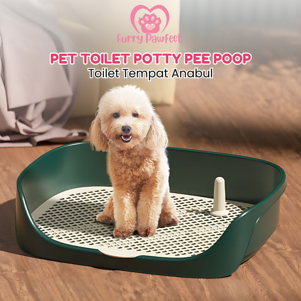 Jual DOG TOILET MORANDI JUMBO - Toilet Anjing Kucing Ukuran Besar - Pad ...