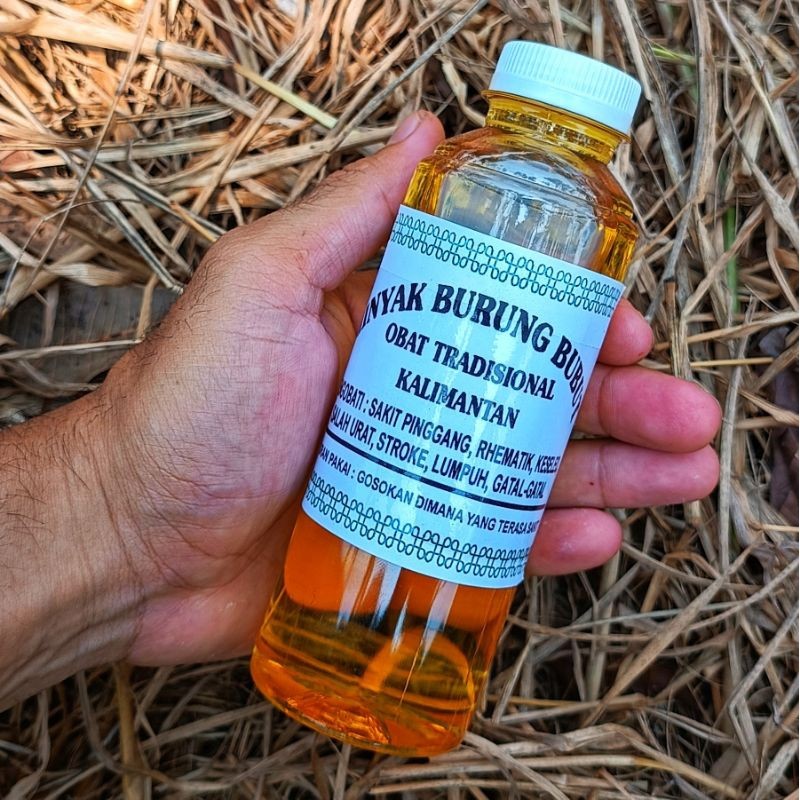 Jual Minyak Burung Bubut,Minyak Butbut Kalimantan,Minyak Gosong Hangat ...