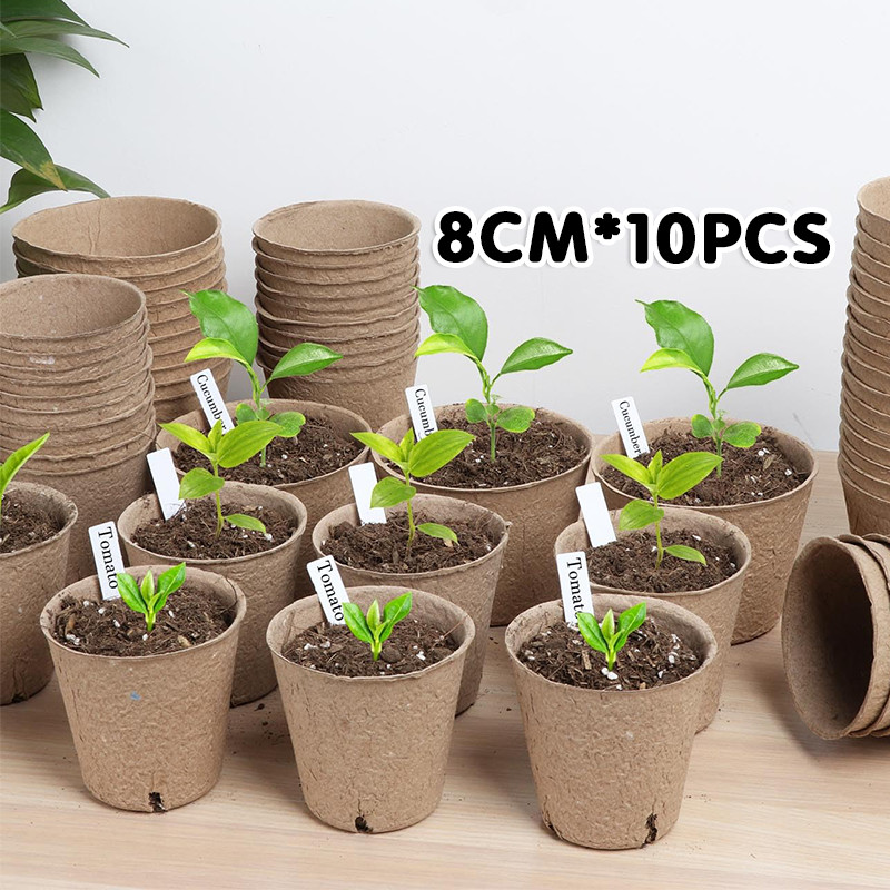 Jual 10pcs/Set Seedling Cup Bahan Pulp Tanpa Merusak Sistem Akar Untuk ...