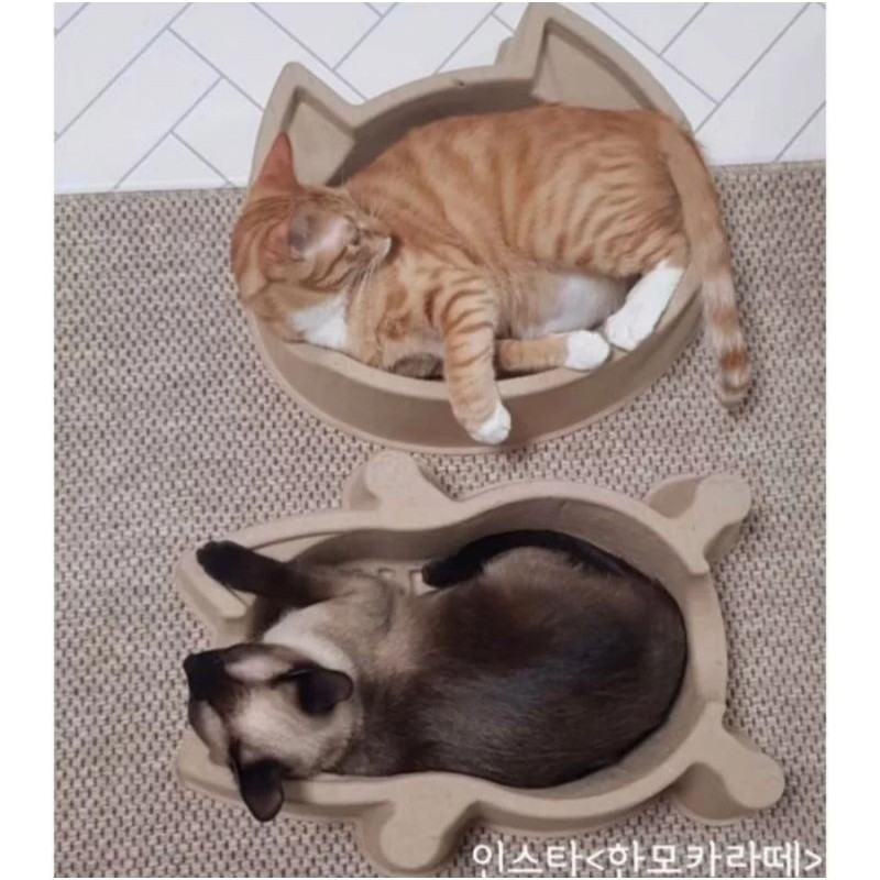 Jual Cat bang - Natural Paper Pulp Cat Nest/Tempat Tidur Kucing | Shopee Indonesia